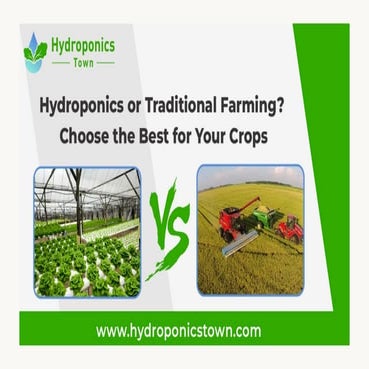 Hydroponics vs. Traditional Farming: Which Method Is Right for Your ...