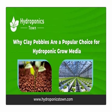 The Benefits of Using Clay Pebbles in Hydroponic Growing | PDF