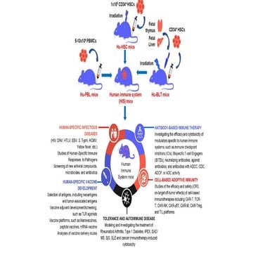 review figures.pptx review figures.pptx v | PPT