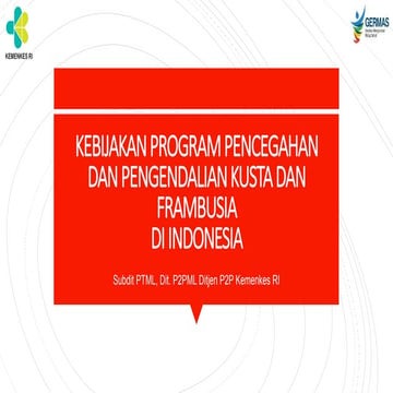 Review kebijakan program pencegahan dan pengendalian kusta dan ...