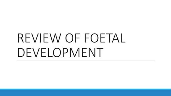 Human embryonic development | PPT | Infertility | Reproductive Health