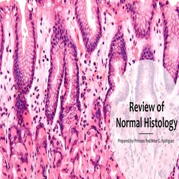 Review of Normal Histology Powerpoint Presentation | PDF