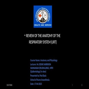 Upper respiratory system- anatomy | PPT