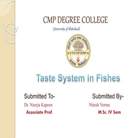 Taste System in Fishes | PPT
