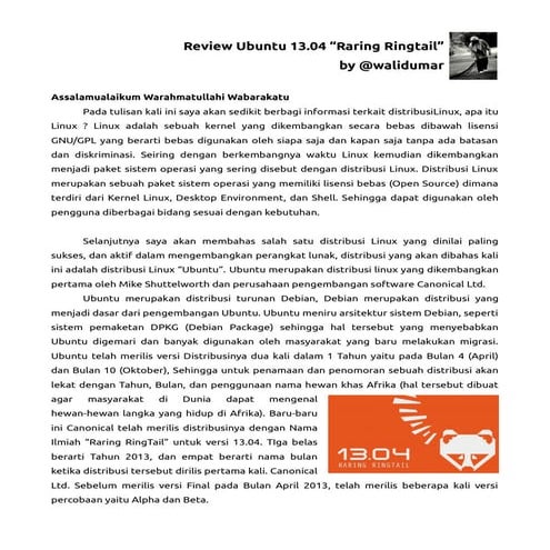 Review ubuntu 13.04