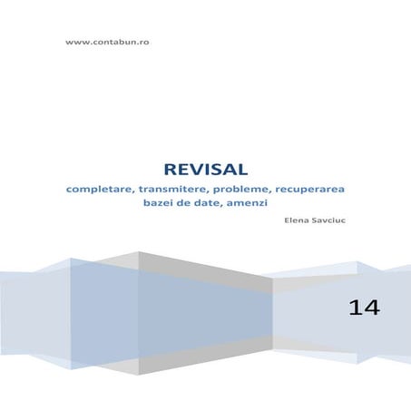 REVISAL: ghid practic | PDF