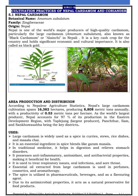 Production technology of Citrus spp(horticulture ) | PDF