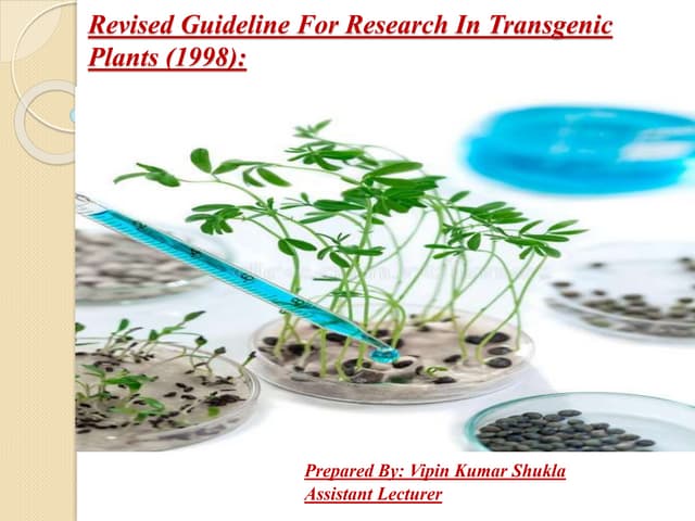 Plant tissue culture | PPTX
