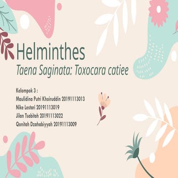 (Revisi) Kelompok 3 Taena Saginata Toxocara cati.pptx