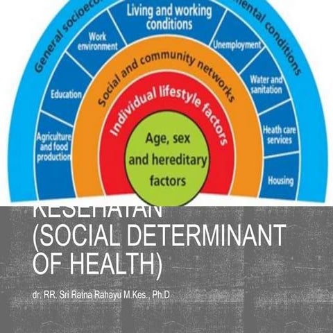 (revisi) MINGGU KE 1-2 DETERMINAN SOSIAL KESEHATAN (SOCIAL DETERMINANT ...