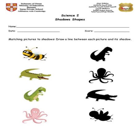 Making shadows worksheet | PDF