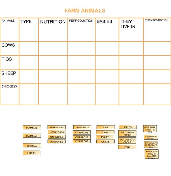 Animals classification | PPTX