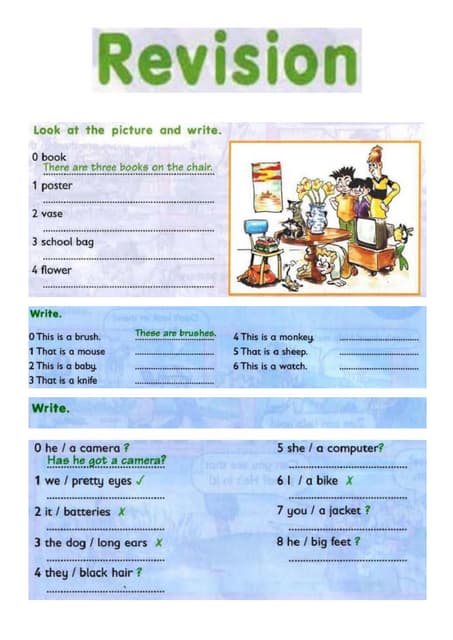 Tom Hummer Resume | PDF | Undergraduate Education | College Education