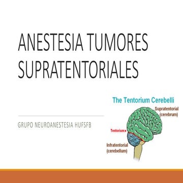 Revisión líquidos en neuroanestesia | PDF