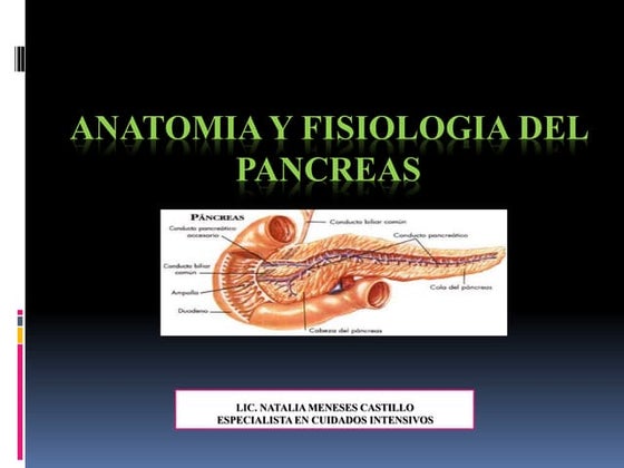 Pancreas by GRANT MEDICAL COLLEGE | PPT
