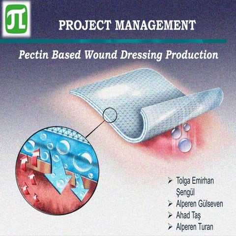 Revisioned Wound Dressing Factory Project.pptx