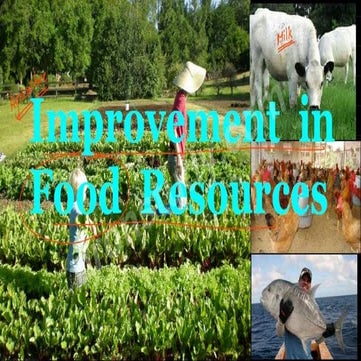 Improvement in Food Resources | PDF
