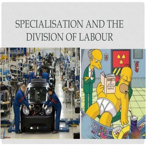 Revision specialisation and the division of labour | PPTX