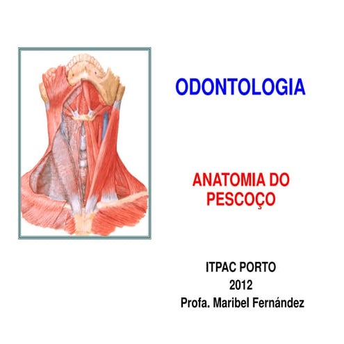 aula de anatomia 1 Pescoço-músculos.pptx