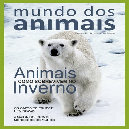 Revista Mundo dos Animais nº 28 | PDF