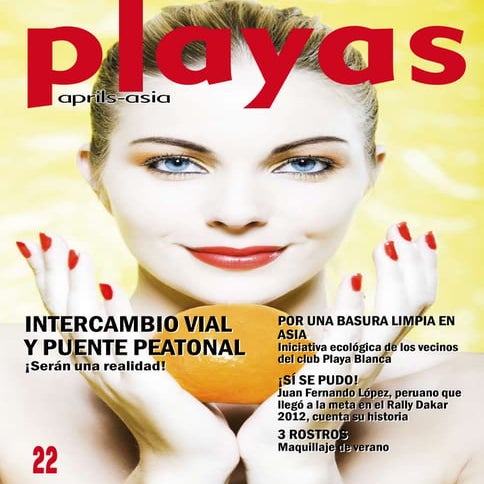 Revista 22 | PDF