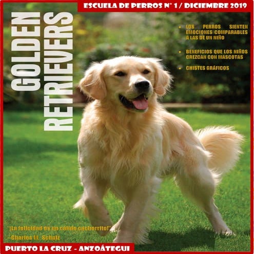 Revista digital golden retriever apff 2.0 | PDF