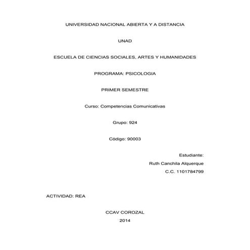 PASOS PARA LA ELABORACION DE UN RAE | PPTX