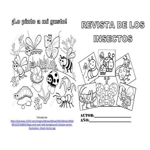 Revista los insectos | PDF
