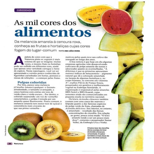 As mil cores dos alimentos | PDF