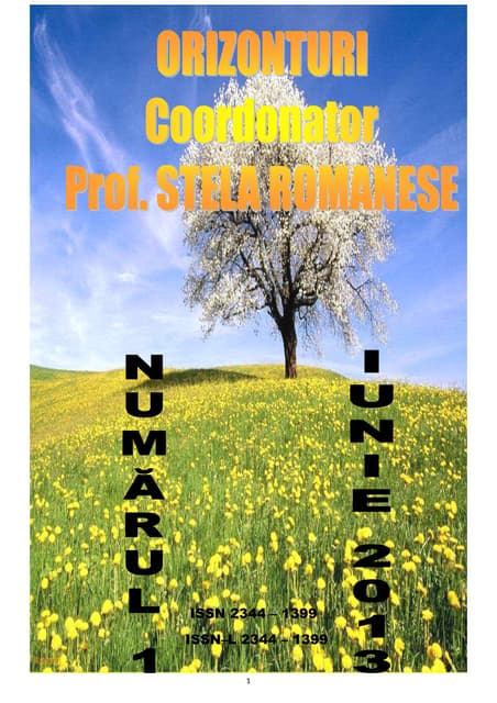 Planificare dirigentie | PPT