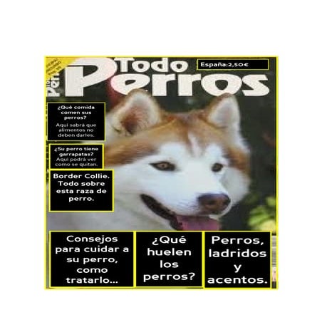 Historia social para fobia a los perros | PPTX