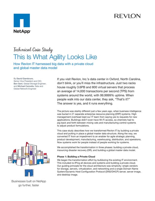 Revlon - Project Server 2010 - Case Study | DOCX | Computer Software and Applications | Computing