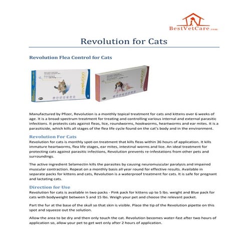 Revolution for cats | PDF