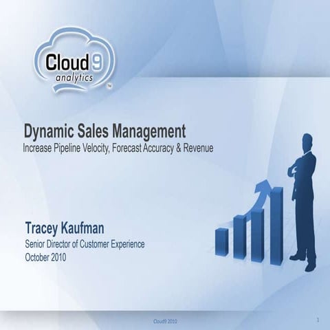 Revenue Velocity: Dynamic Sales Management | PPTX