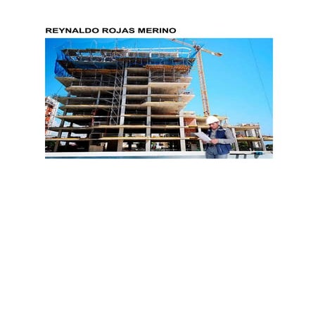 Reynaldo rojas merino | PDF