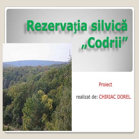Rezervatia codrii | PPT
