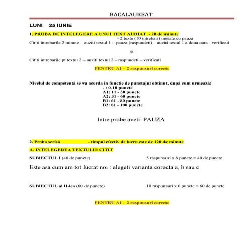 Rezumat bac engleza 25 iunie | DOC