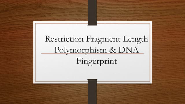 Principles of fingerprints | PPTX