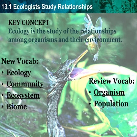 Ecologists Study Relationship_PowerPoint.ppt.pptx | Biological Sciences ...