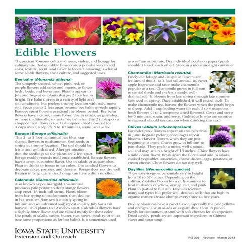 Edible Flowers: A Guide | PDF | Gardening | Home & Garden