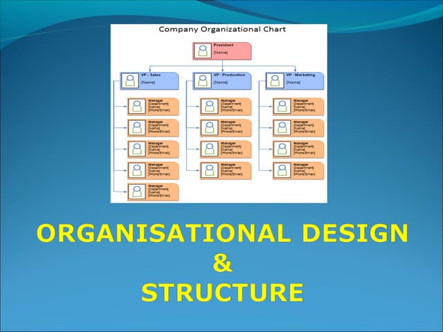 Organizational design and structure | PPT