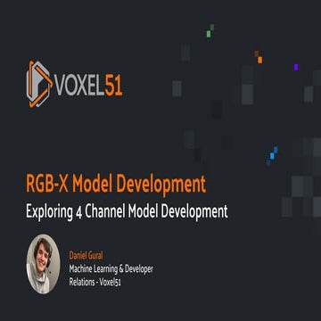 RGB-X Model Development: Exploring Four Channel ML Workflows | PPT