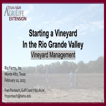 RGV_Starting a Vineyard_Management.pdf