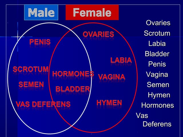 Republic Act 10354 esponsible Parenthood and Reproductive Health Law of ...