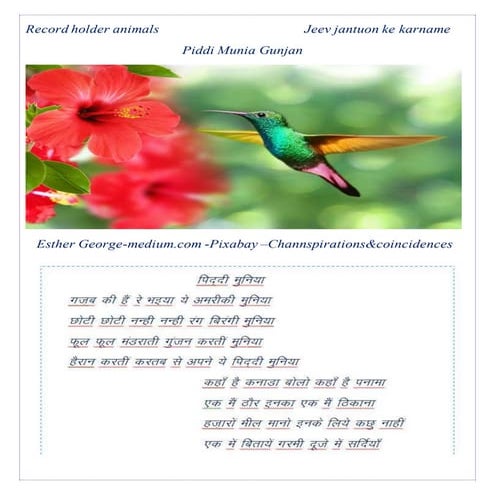 Record holder animals Jeevjantuon ke karname chapter 8 acrobat hummingbird piddi munia | DOCX