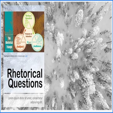 Rhetorical Questions Grade 10 English PPT.pptx