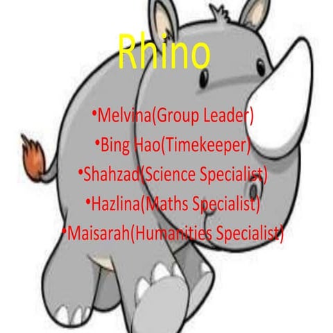 Rhino | PPT