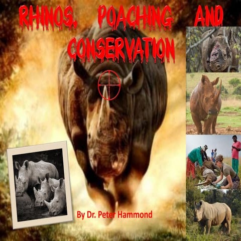 Rhinos, Poaching & Conservation | PPT