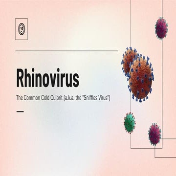 Rhinovirus The Common Cold Culprit a.k.a sniffle virus | PDF