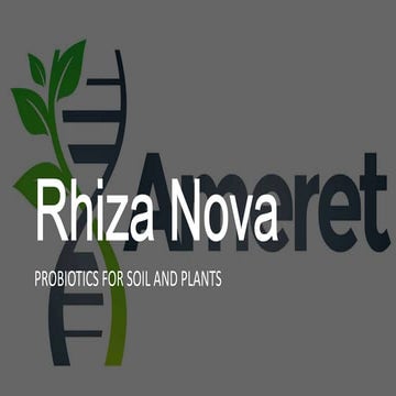 Rhiza Nova | PPTX